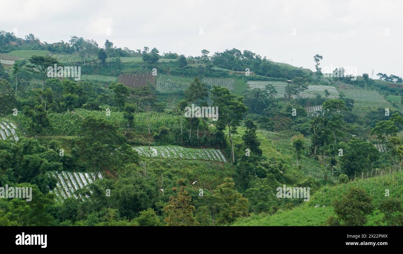 hill landscape with various farms Stock Photo - Alamy