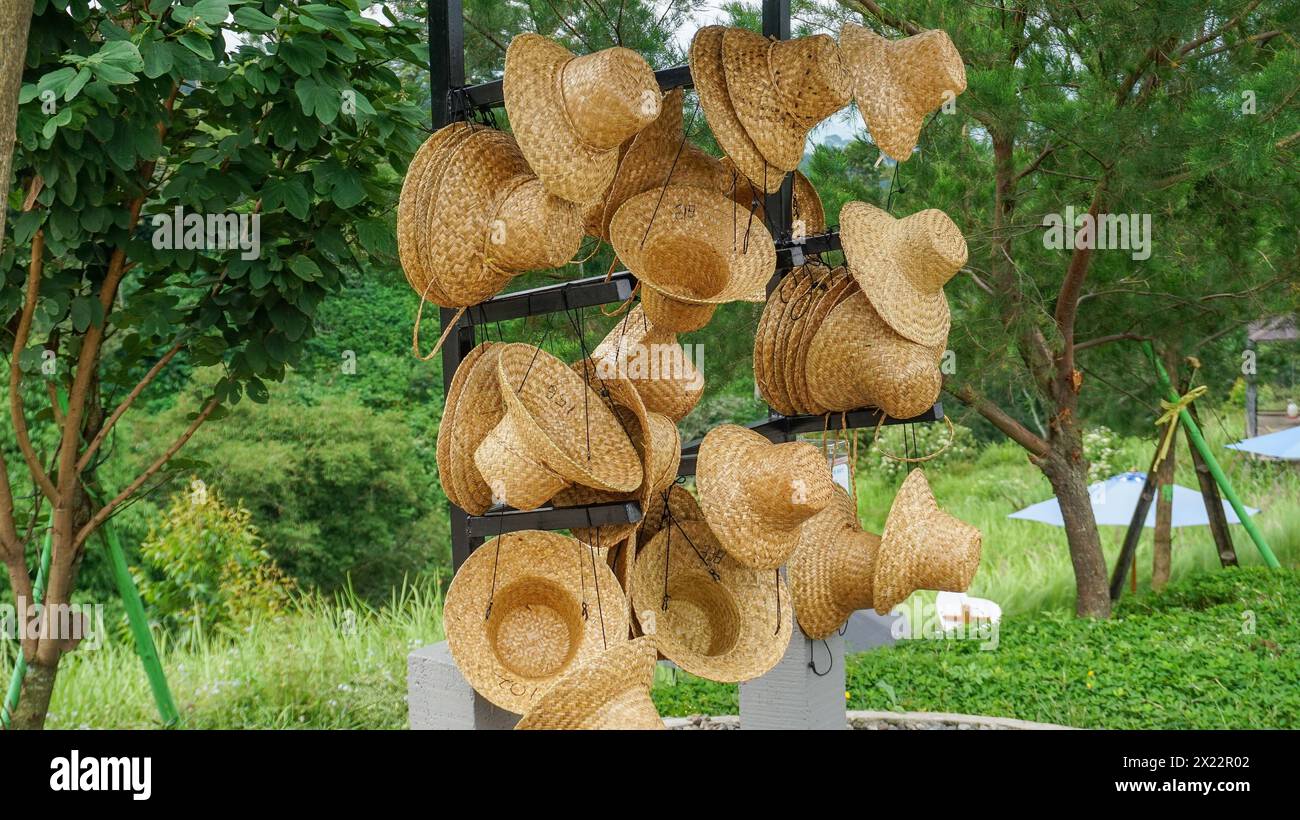 Hanging basket hats, hats made from natural materials, reed leaves ...
