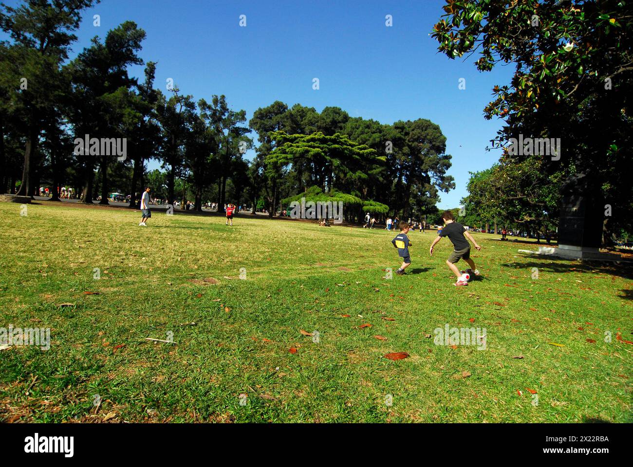 the lawn most basic in garden design and living architecture the lawn ...