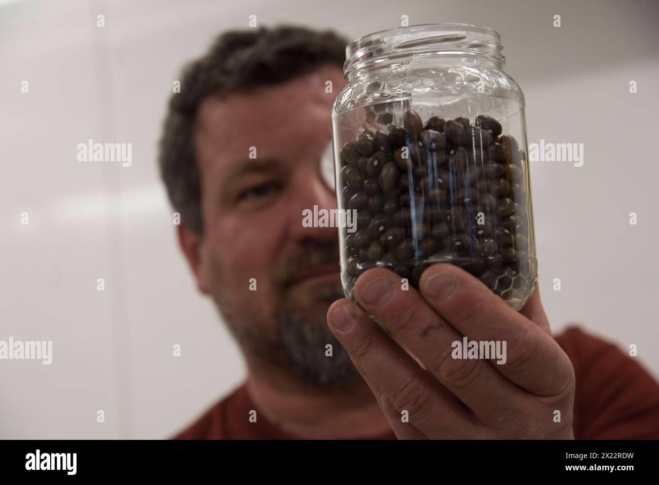 Seeds are embryonic plants protected by outer covering Seeds protected ...