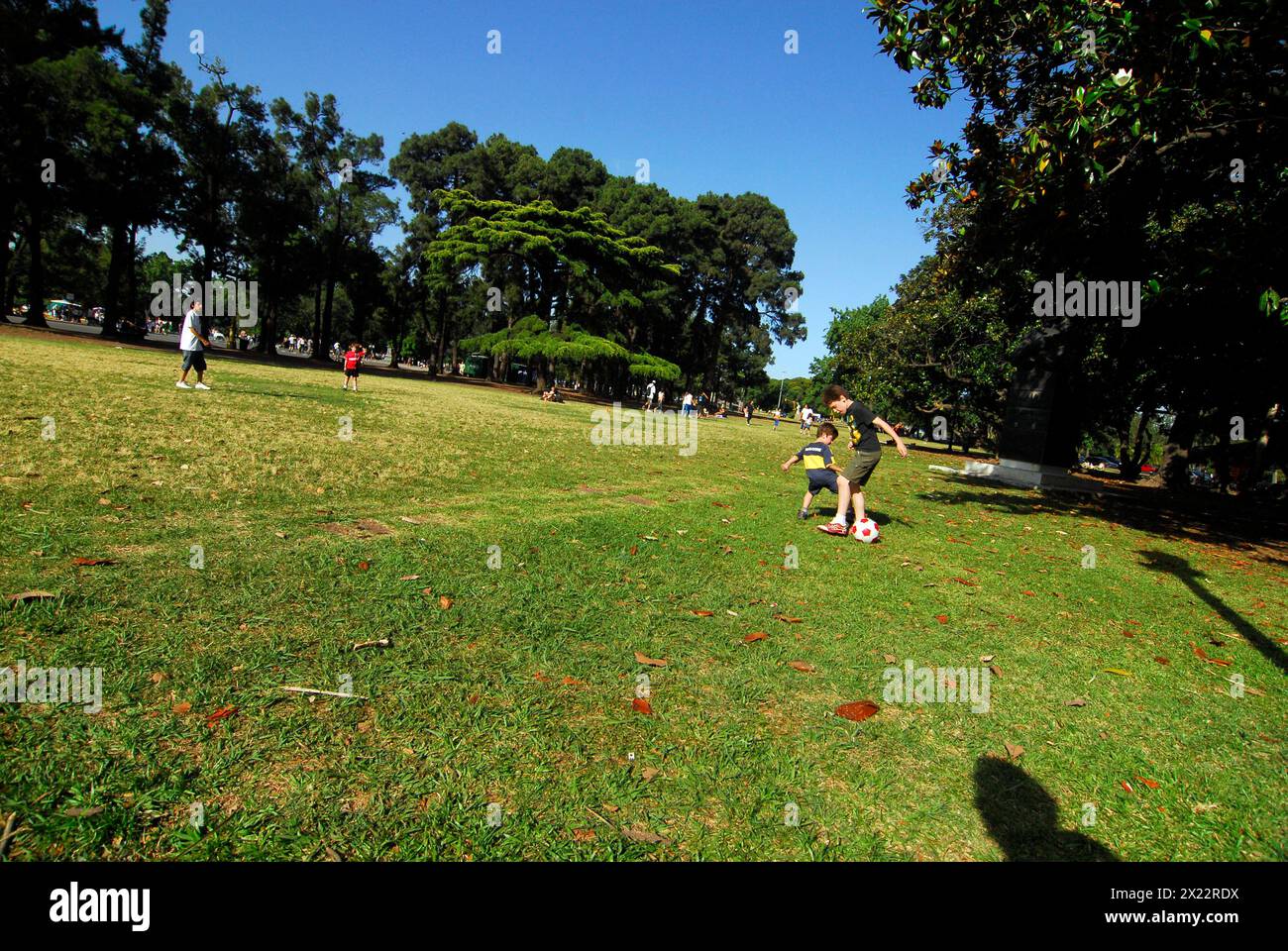 the lawn most basic in garden design and living architecture the lawn ...