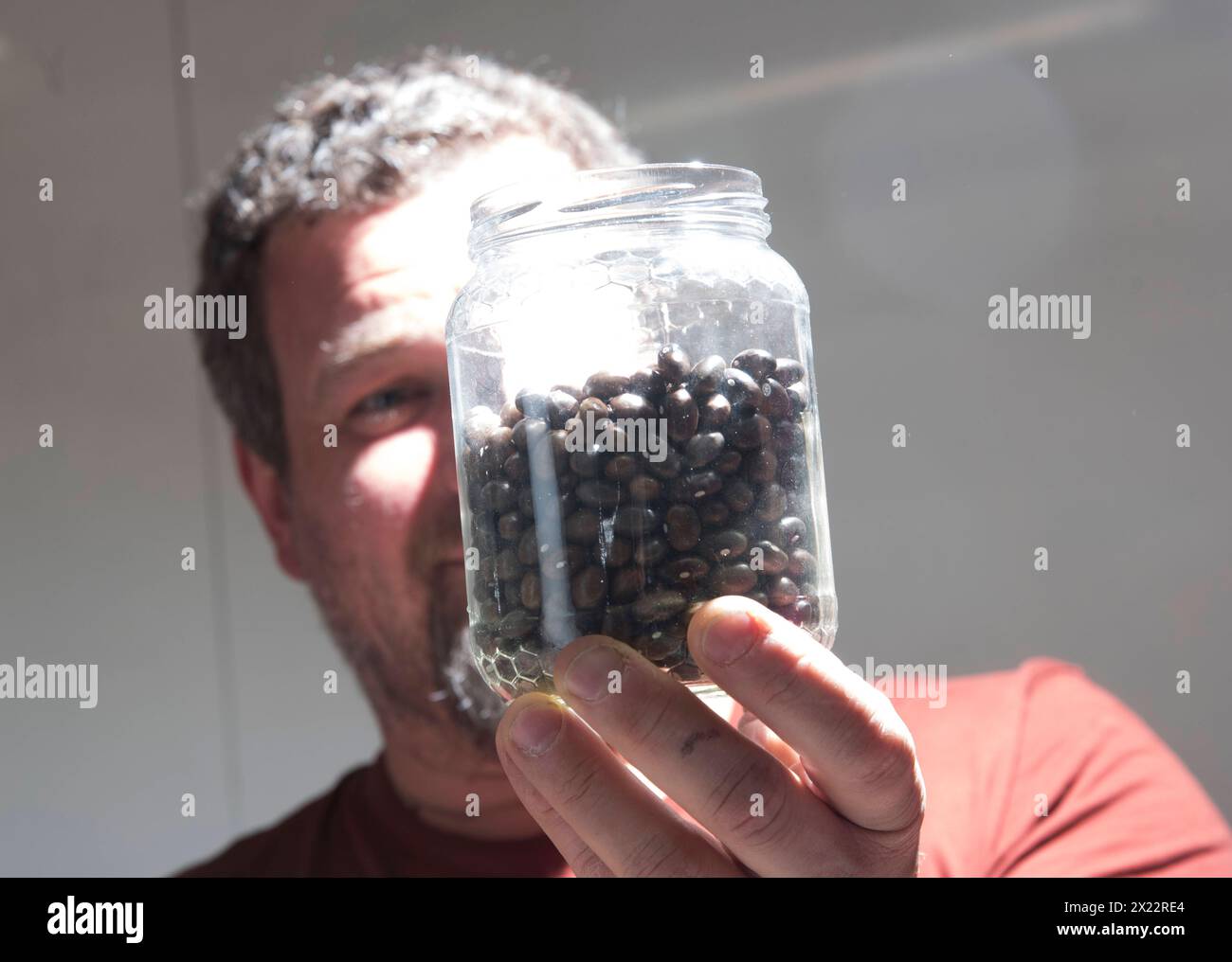 Seeds are embryonic plants protected by outer covering Seeds protected ...