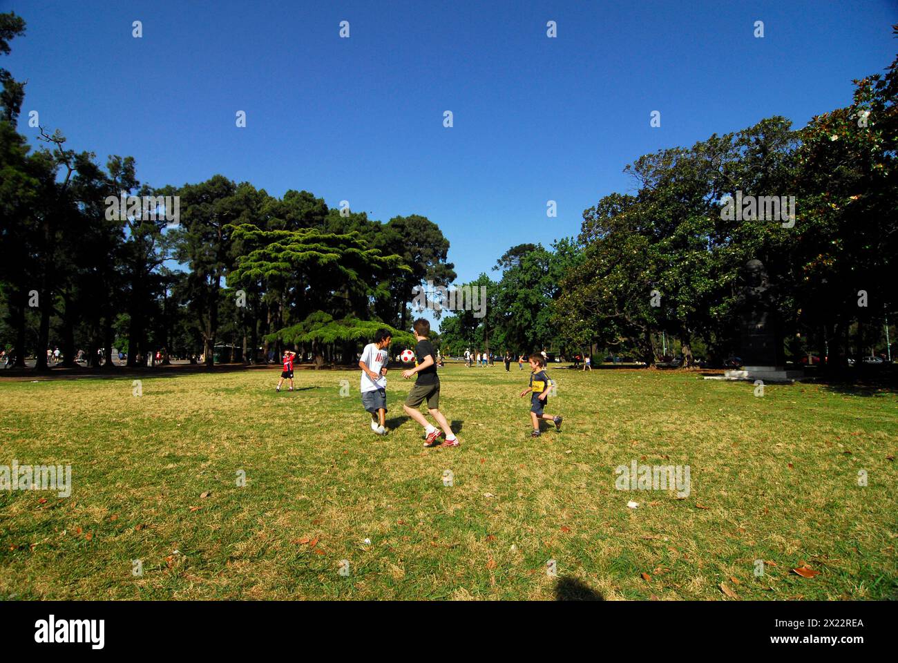 the lawn most basic in garden design and living architecture the lawn ...