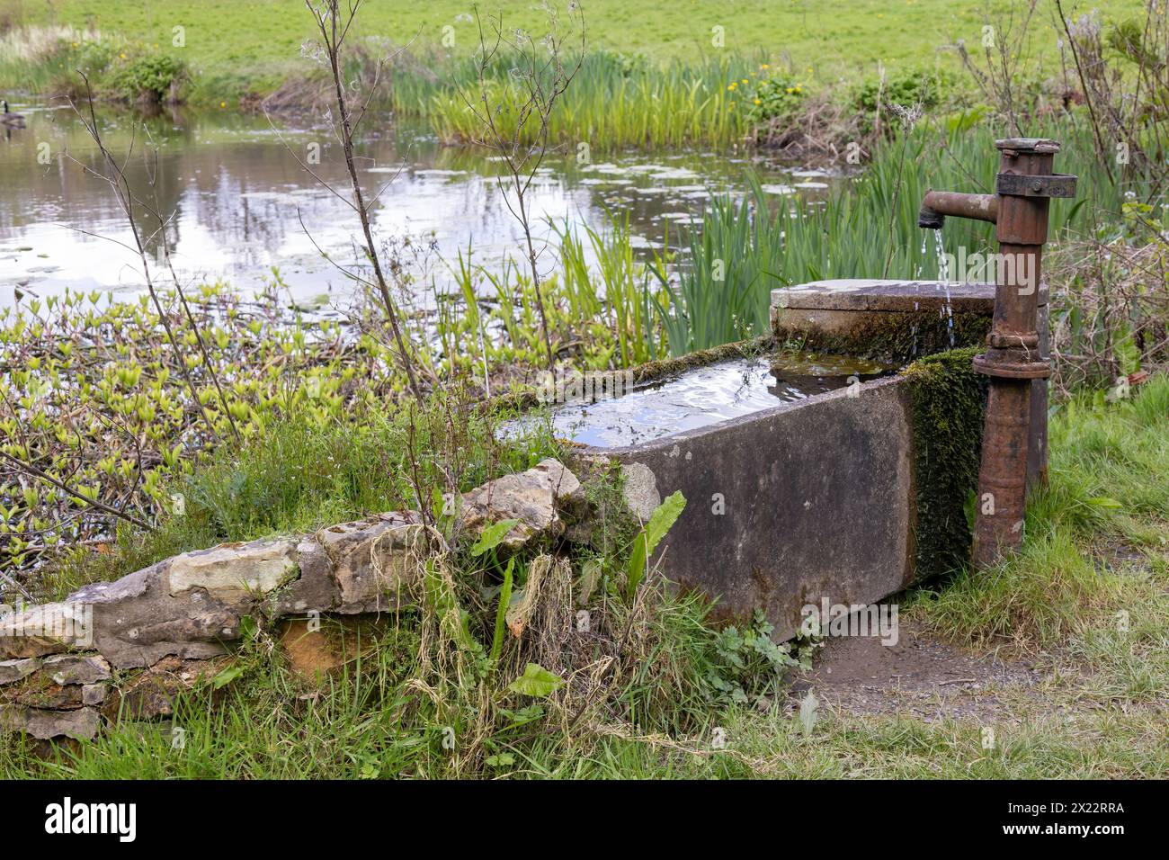 Water trough pond hi-res stock photography and images - Alamy