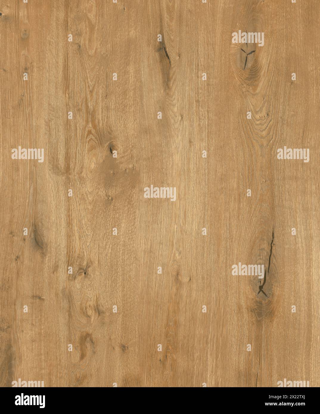 Wood texture. Wood texture for design and decoration Stock Photo - Alamy