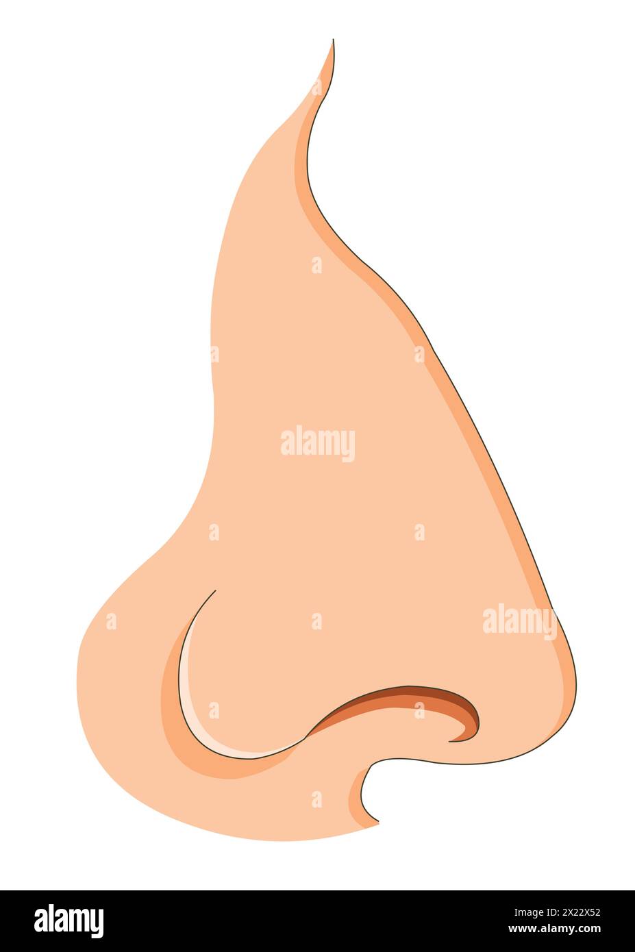 Human body parts collection hi-res stock photography and images - Alamy