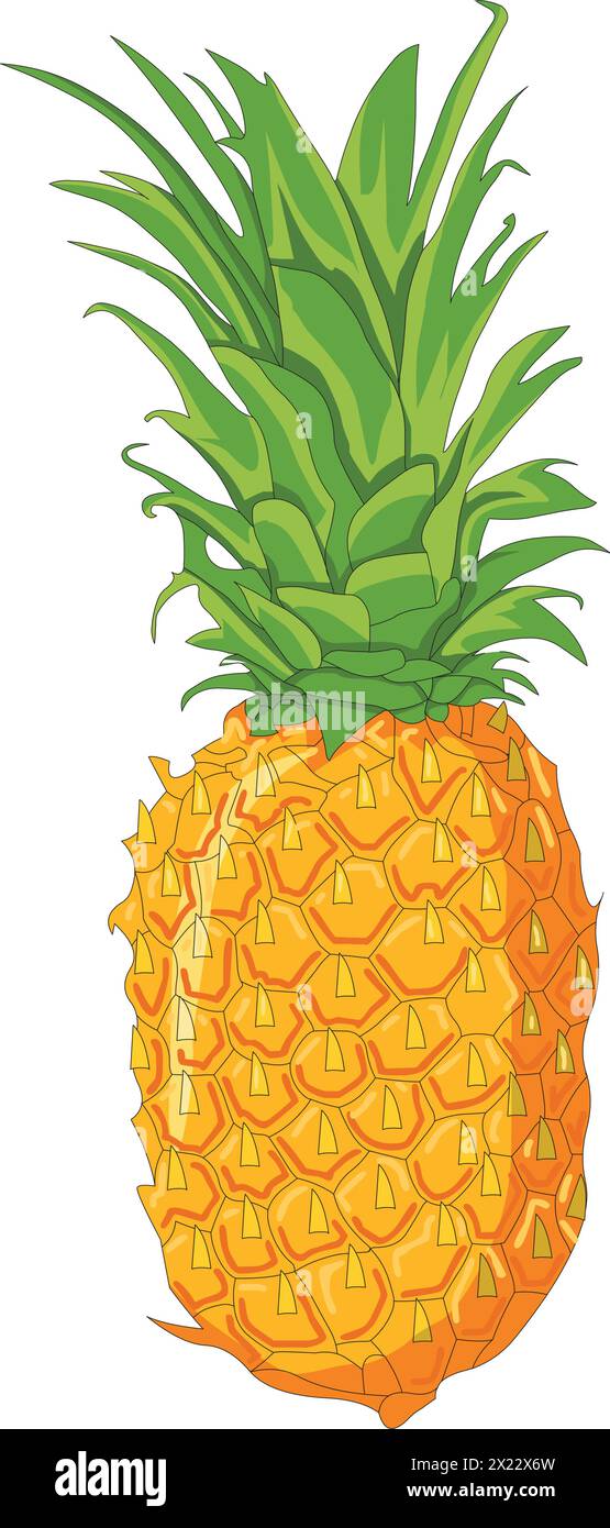 Pineapple clipart vector vectors hi-res stock photography and images - Alamy