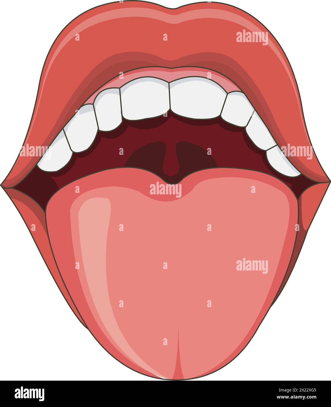 Tongue and teeth vector illustration Stock Vector Image & Art - Alamy