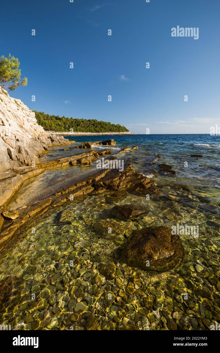 Rocky coast in Kamenjak nature reserve, Premantura peninsula, Pula ...
