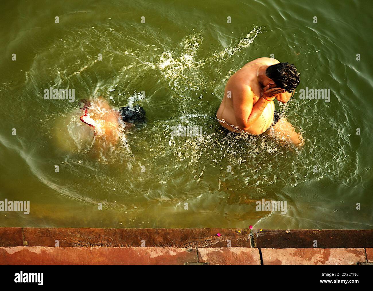 Two pilgrims immersing themselves in the Ganges River at Varanasi ...