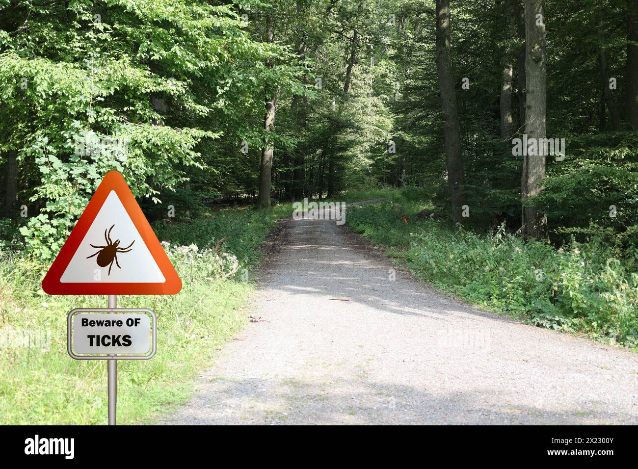 Warning sign for infected ticks in a forest. Risk of tick and Lyme ...