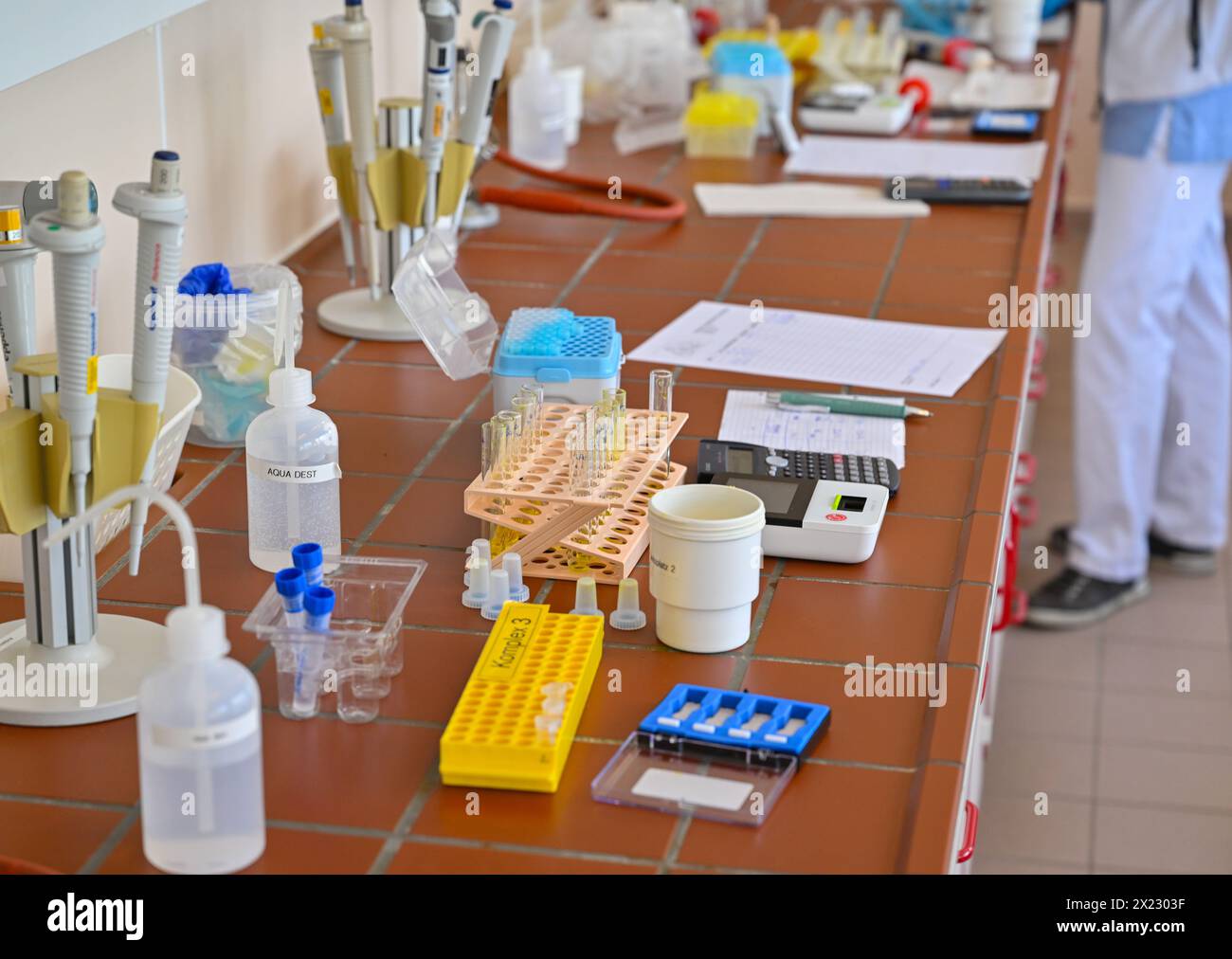 Cottbus, Germany. 18th Apr, 2024. A laboratory at the Medical School of ...