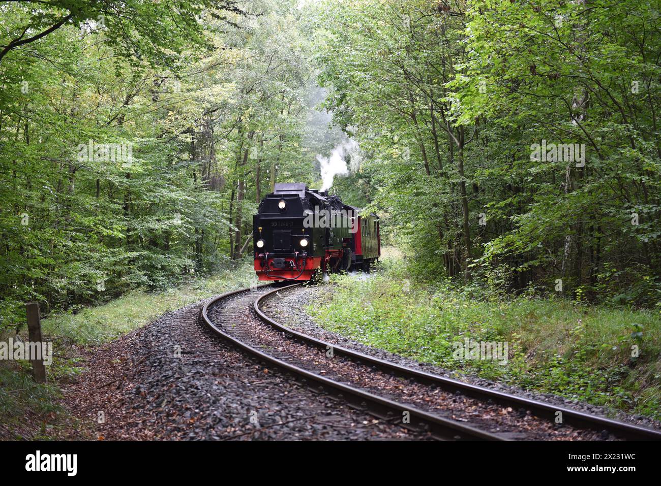 The Harz Narrow Gauge Railway, Brocken Railway, Selketal Railway in the ...