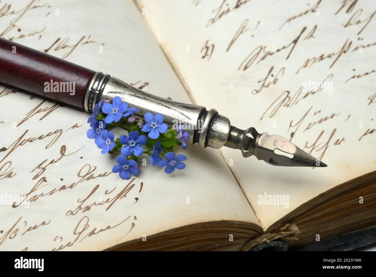 Diary page quill pen hi-res stock photography and images - Alamy