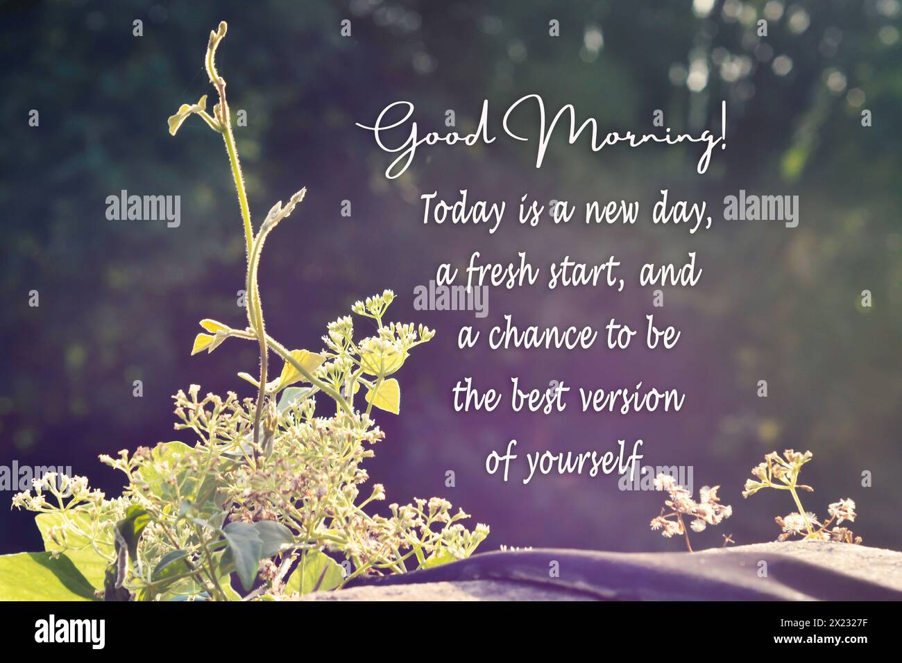 Green nature with motivational and inspirational quote Stock Photo - Alamy