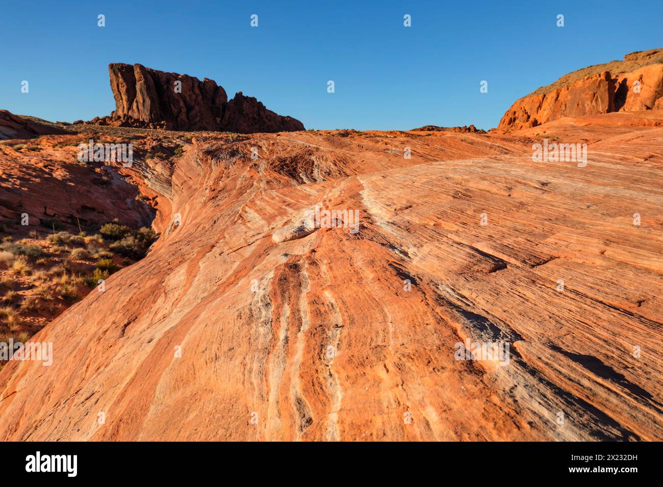 White Domes, Valley of Fire State Park, Nevada, United States, USA ...