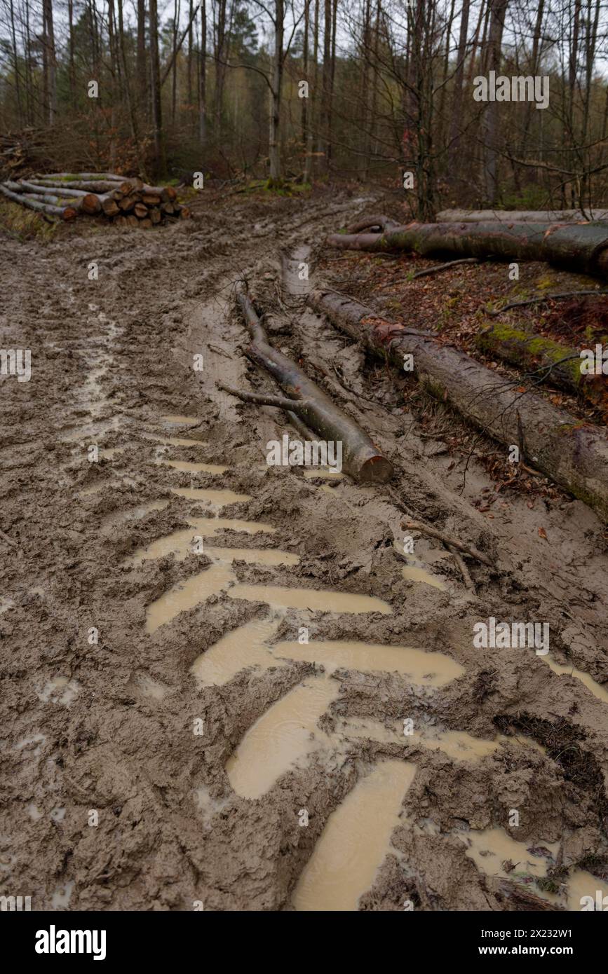 Deep grooves after forest work, mud, mud rain, logging work, wood ...