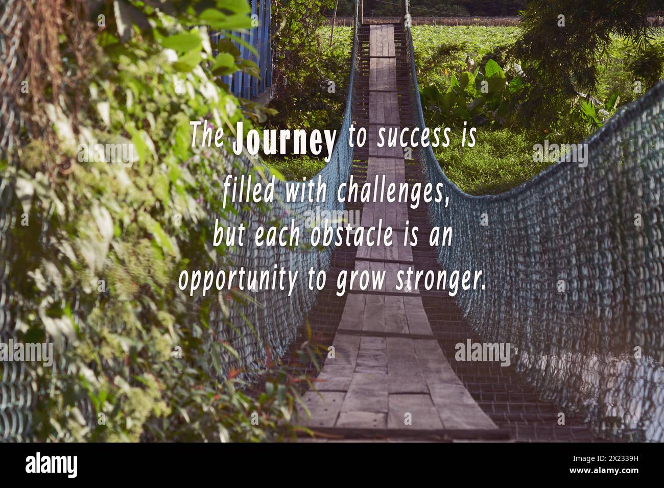 Swinging Bridge Quotes 9 FACTS ABOUT BROOKLYN BRIDGE IN NEW YORK CITY