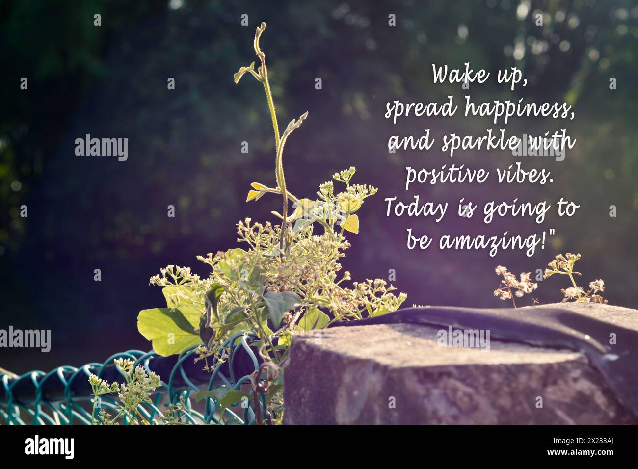 Green nature with motivational and inspirational quote Stock Photo - Alamy