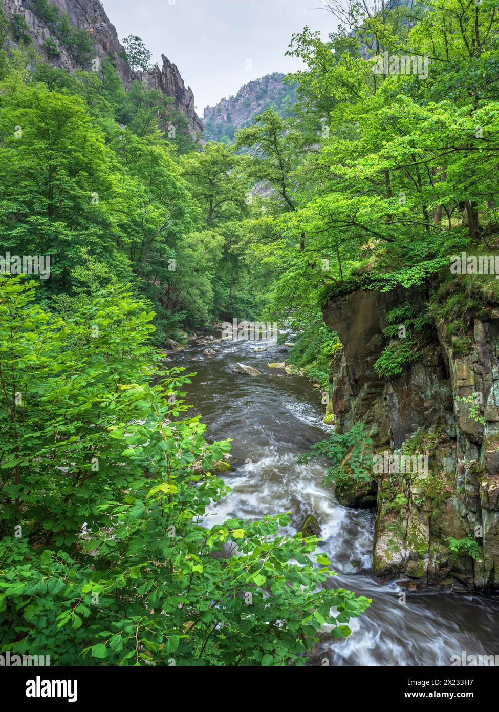 The River Bode with rapids and boulders in the Bode Valley between ...