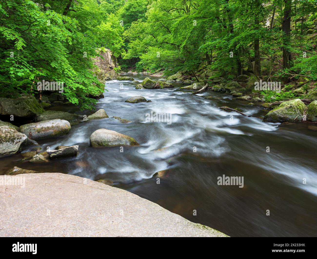 The River Bode with rapids and boulders in the Bode Valley between ...