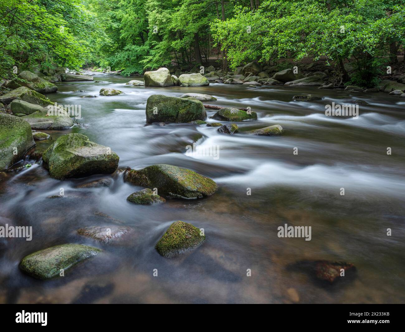 The River Bode with rapids and boulders in the Bode Valley between ...