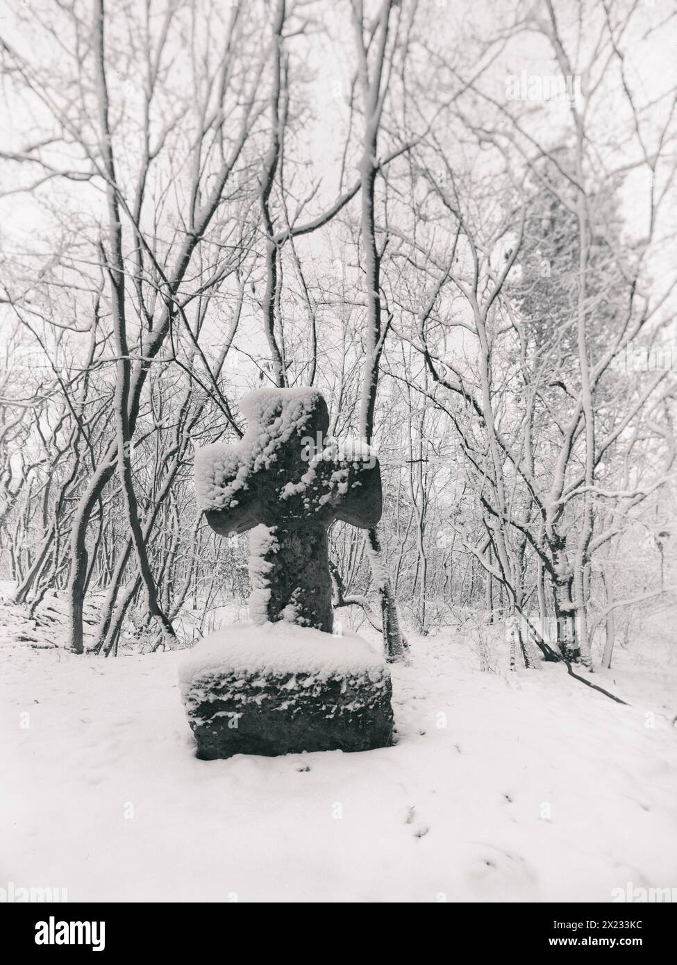 Medieval stone cross in a snow-covered forest in winter, murder cross ...