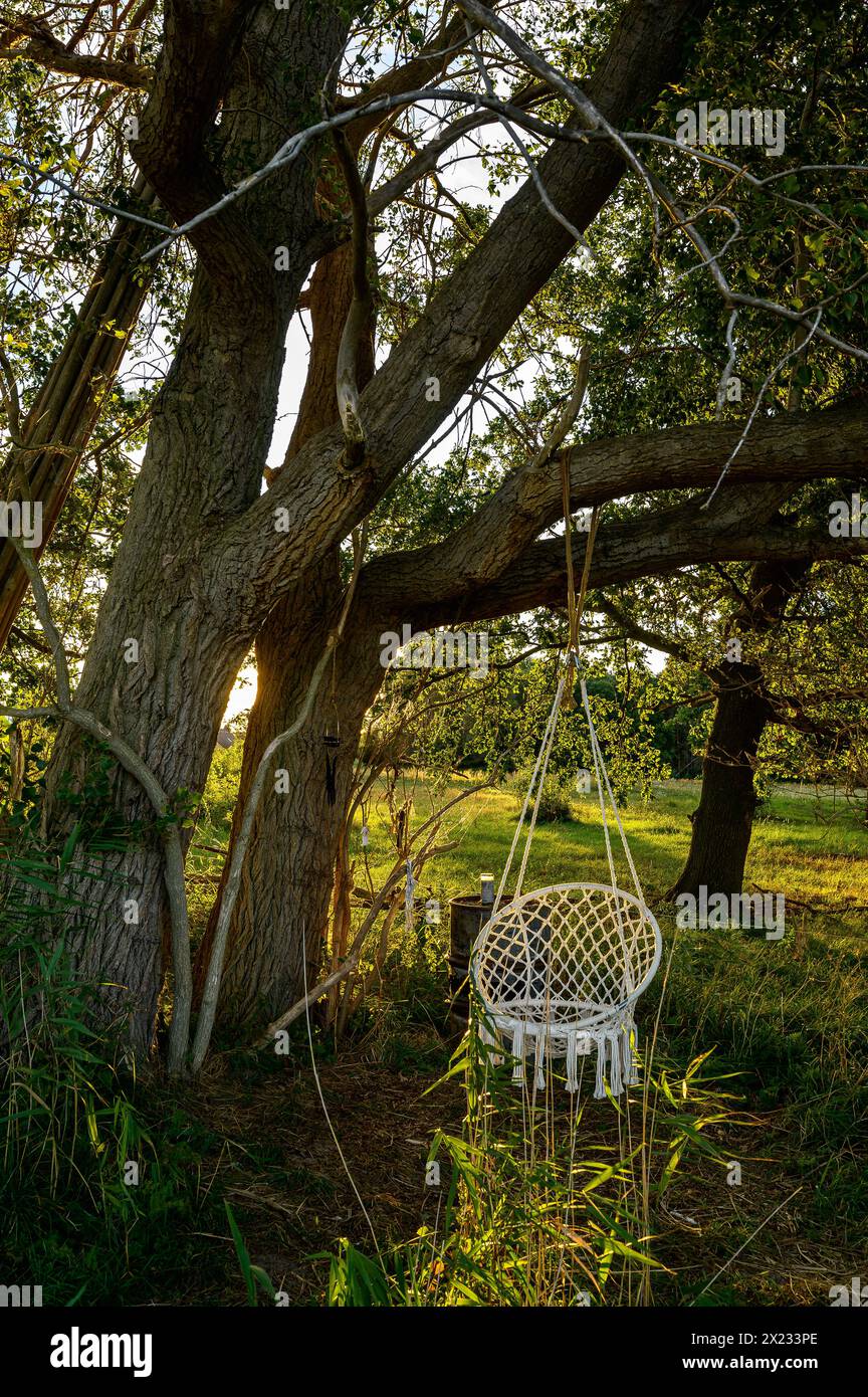 Hanging chair for everyone on the Fischer-Beach on the Achterwasser ...