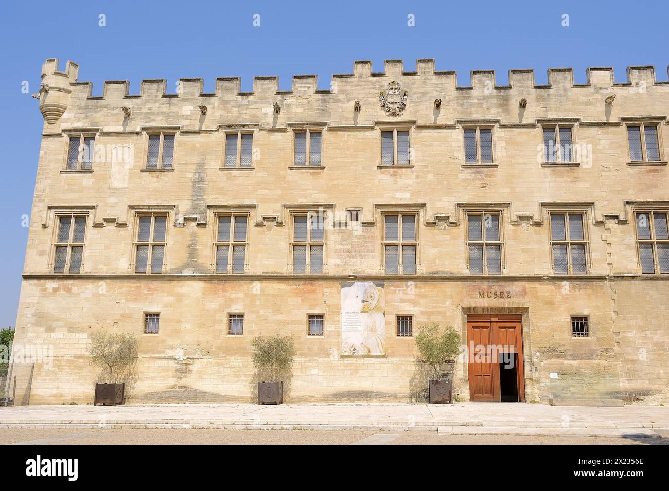 Museum 'Musee du Petit Palais', Avignon, Vaucluse, Provence-Alpes-Cote ...