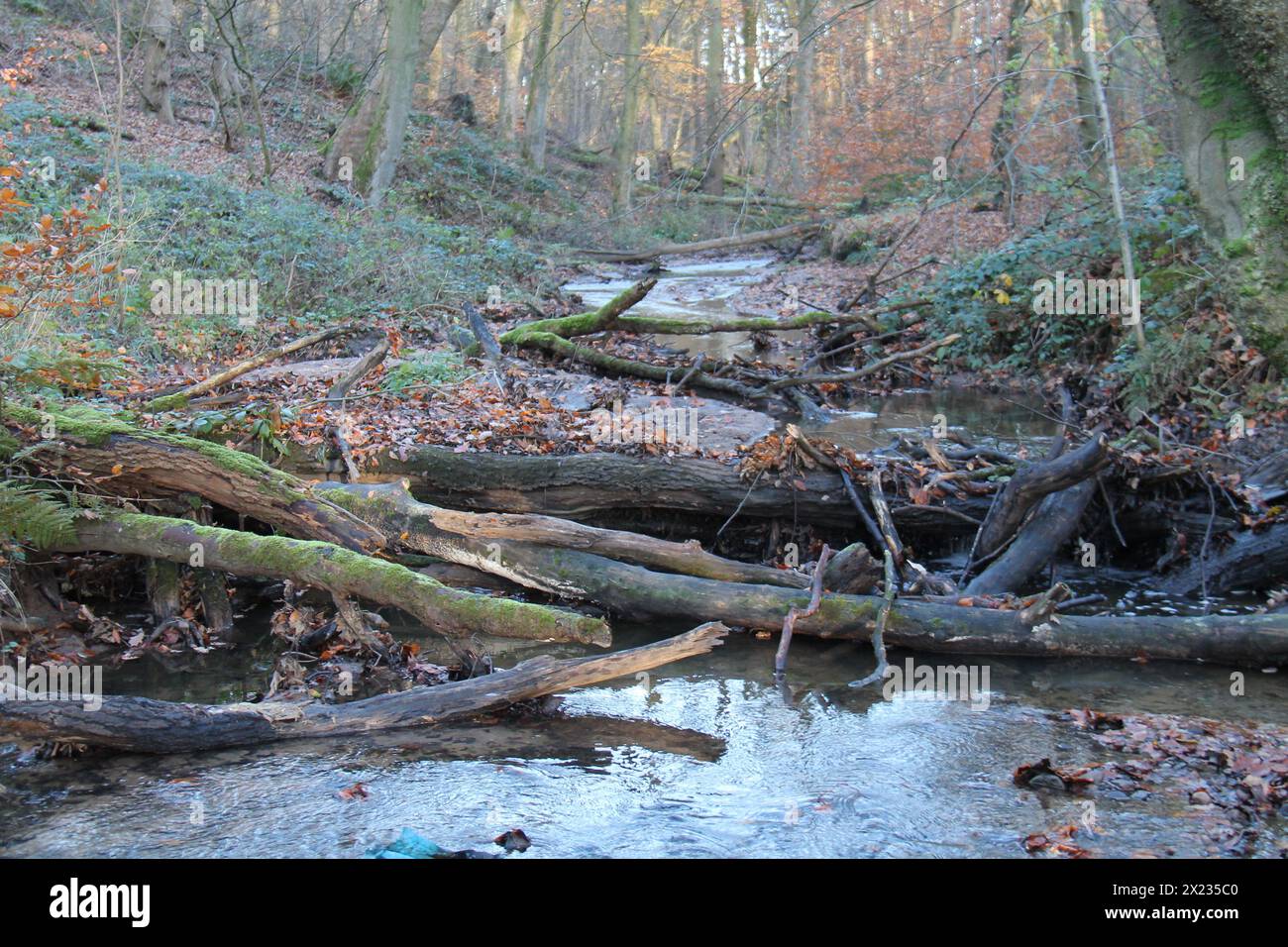 A Leaky Dam - Part of a Flood Prevention Scheme Stock Photo - Alamy