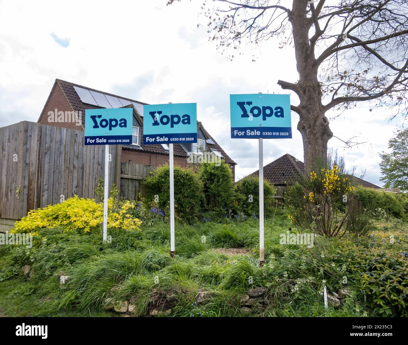 Three Yopa estate agency signs Stock Photo - Alamy