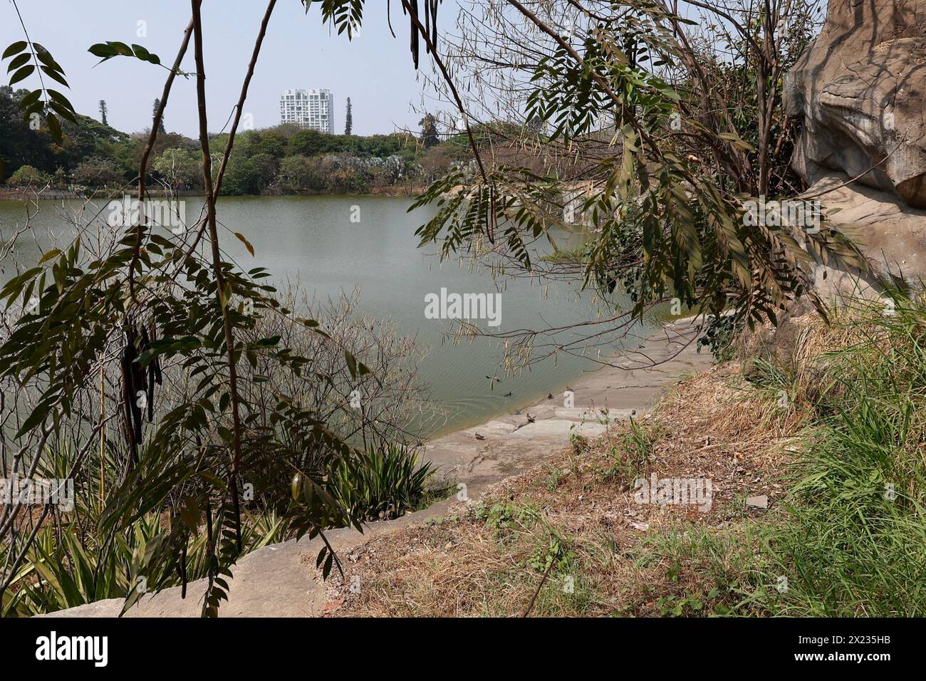 Lake in Lalbagh Botanical Garden, Bengaluru, Karnataka, India Stock ...