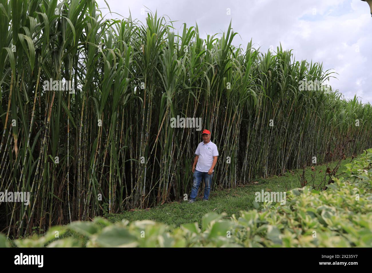 (240419) -- KIGALI, April 19, 2024 (Xinhua) -- Zheng Ruijin, an ...