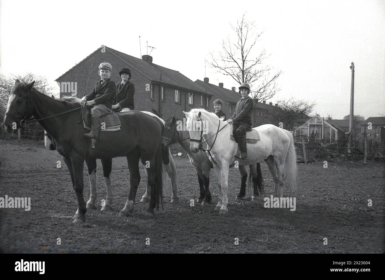 1960s, historical, children on horses in a field, England, UK Stock ...