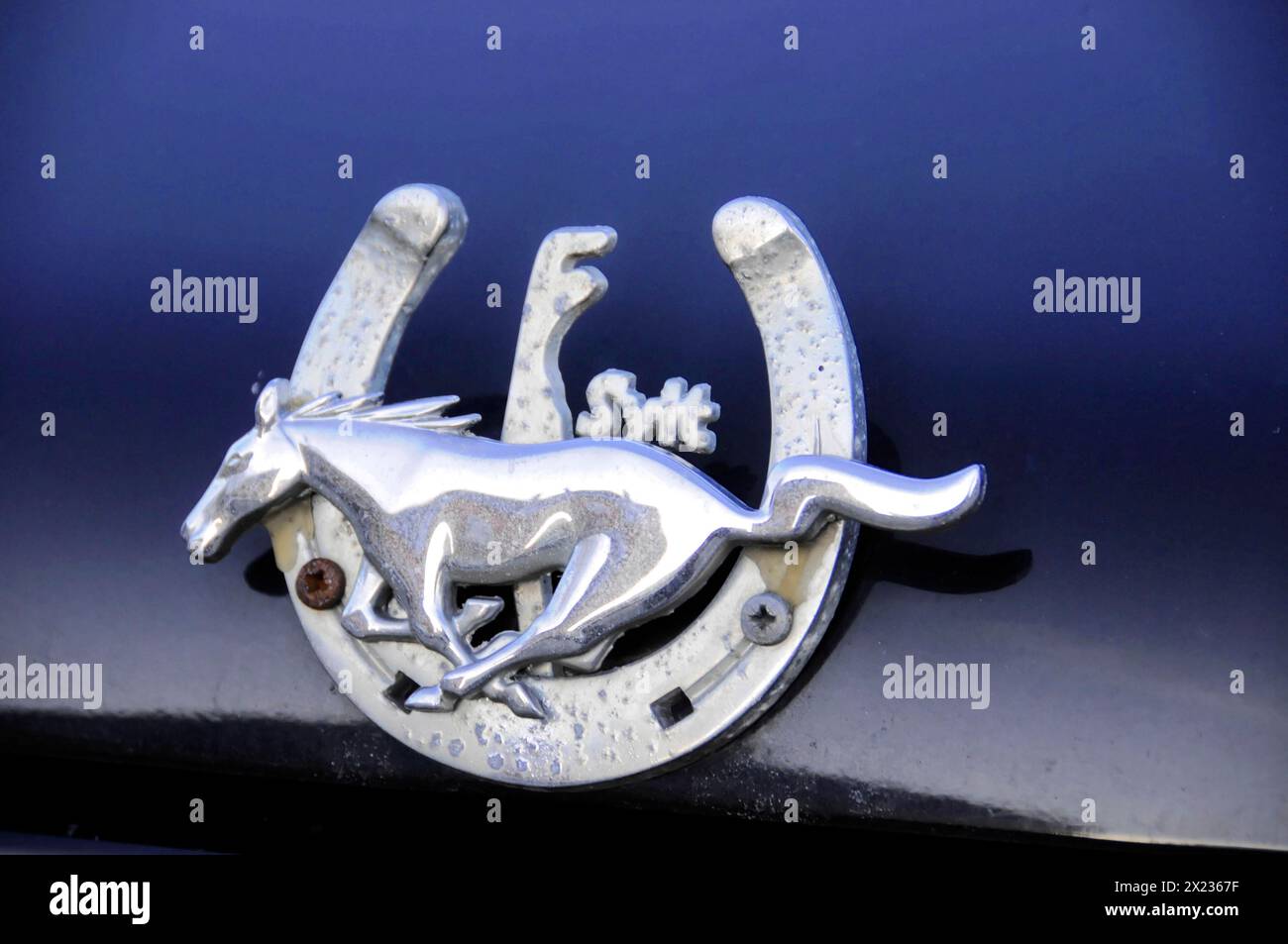 Car radiator mascot hi-res stock photography and images - Alamy