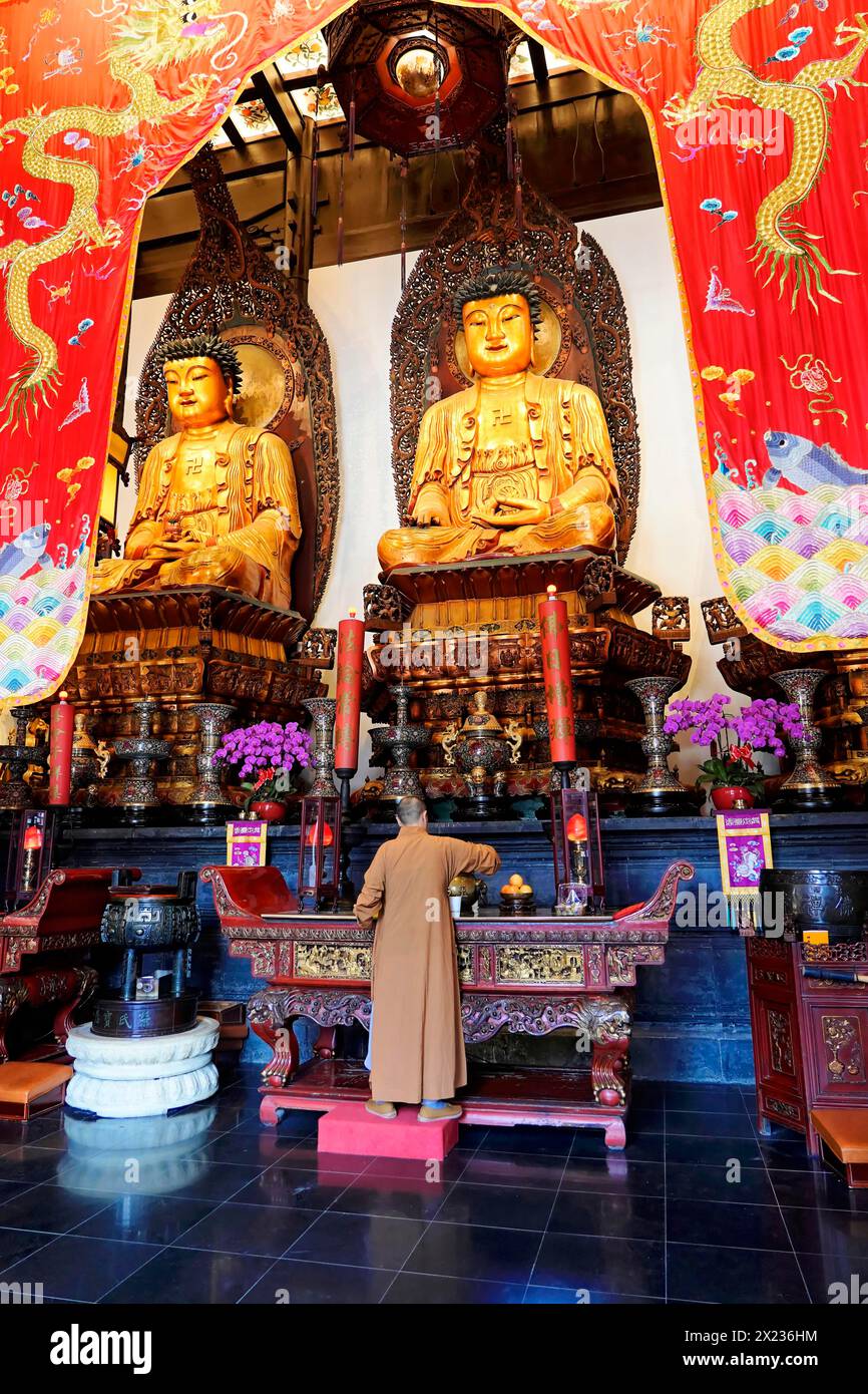 Jade Buddha Temple, Buddha, Puxi, Shanghai, Shanghai Shi, China, Person ...