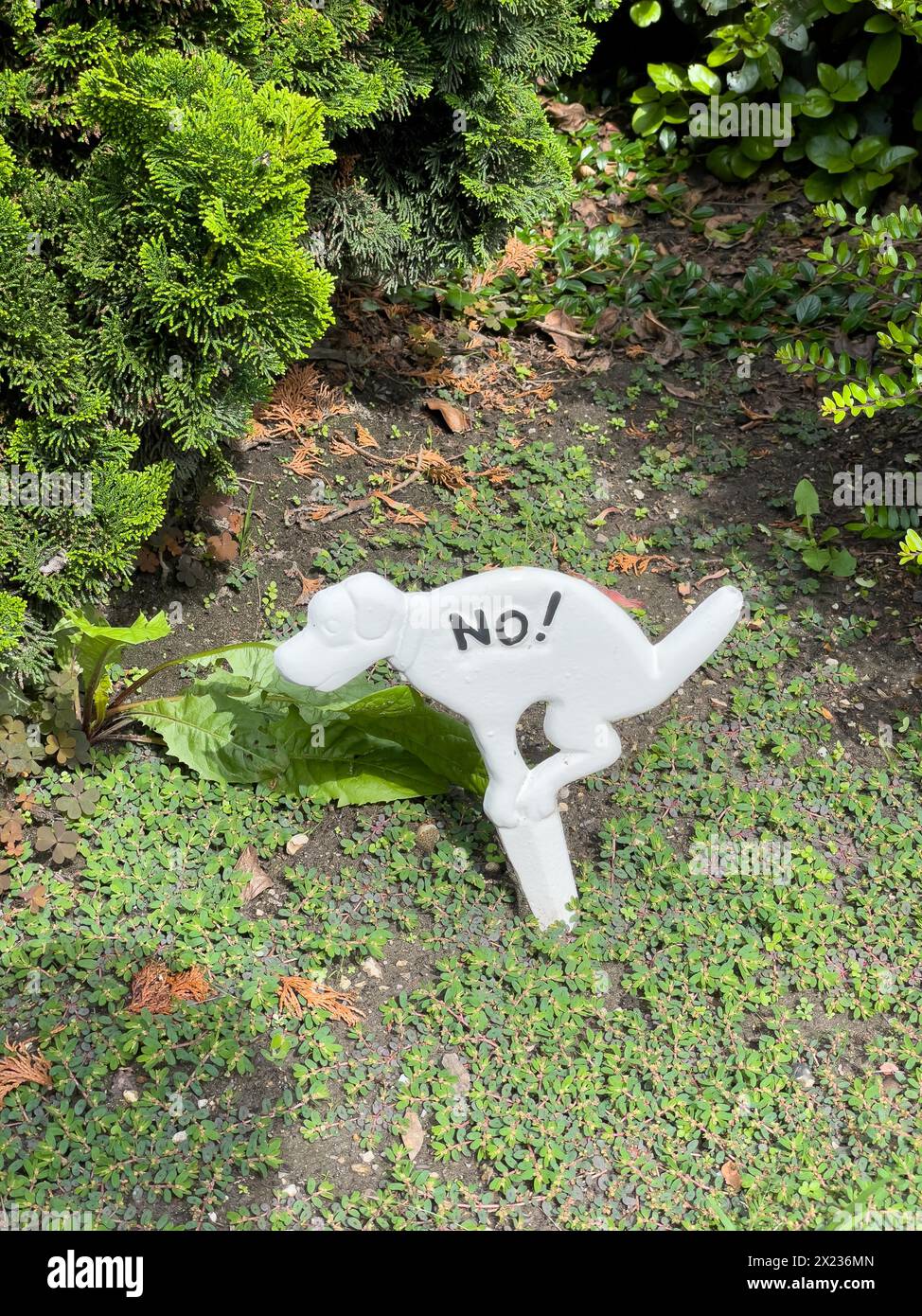 Sign in front garden in the form of a dog pooping dog pooing dog pooing ...