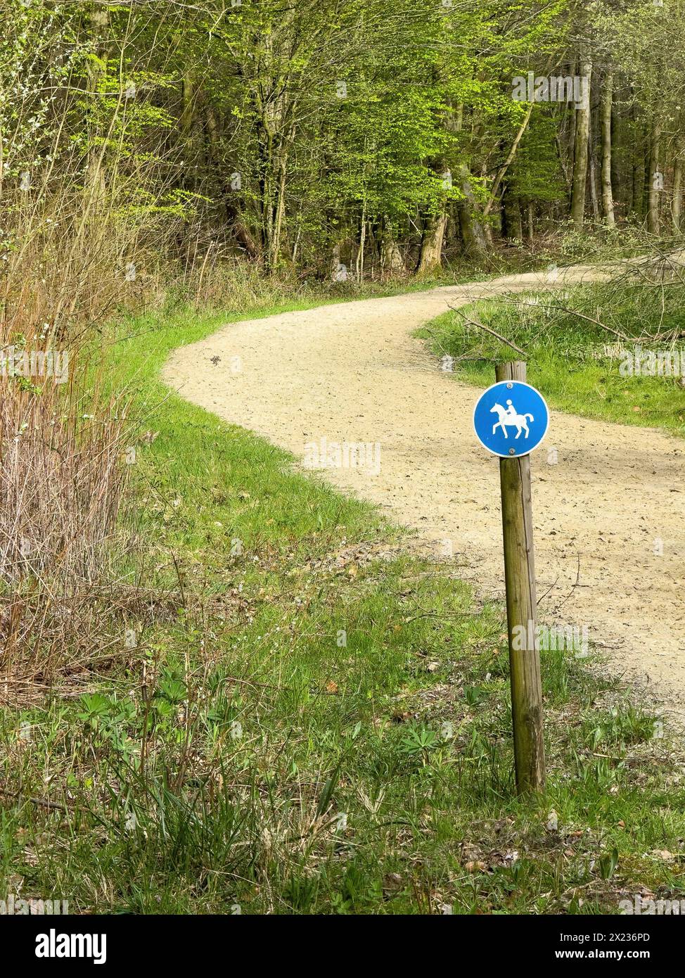 Sign for riders in front of designated signposted bridle path with soft ...