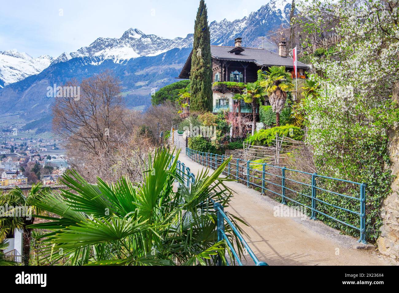 Tappeiner Promenade, Tappeiner Trail in spring with the Texel Group ...