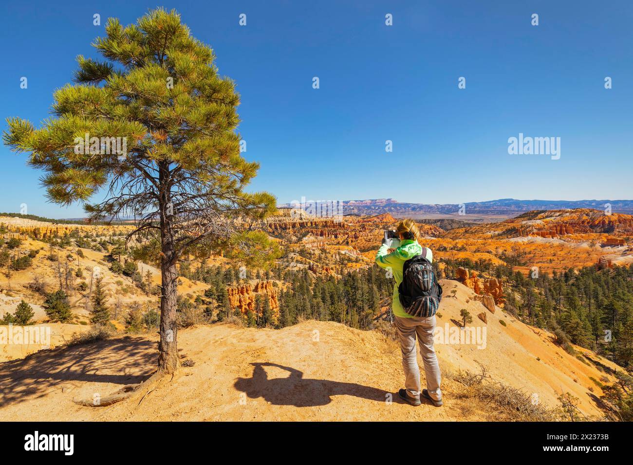 Tourist at Bryce Canyon, Bryce Canyon National Park, Colorado Plateau ...