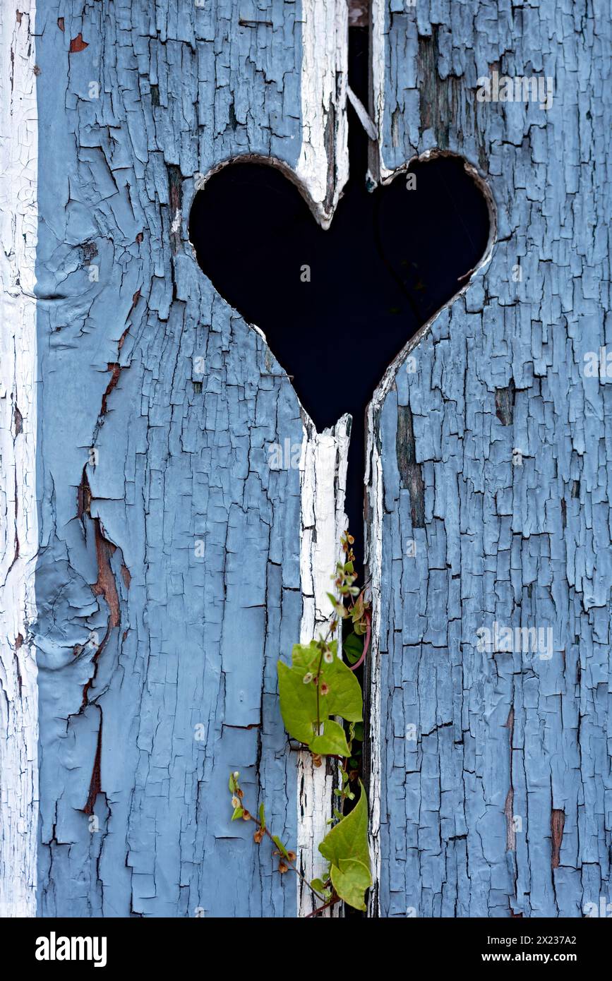 Wooden door with heart, stable door, light-coloured varnish, weathered ...