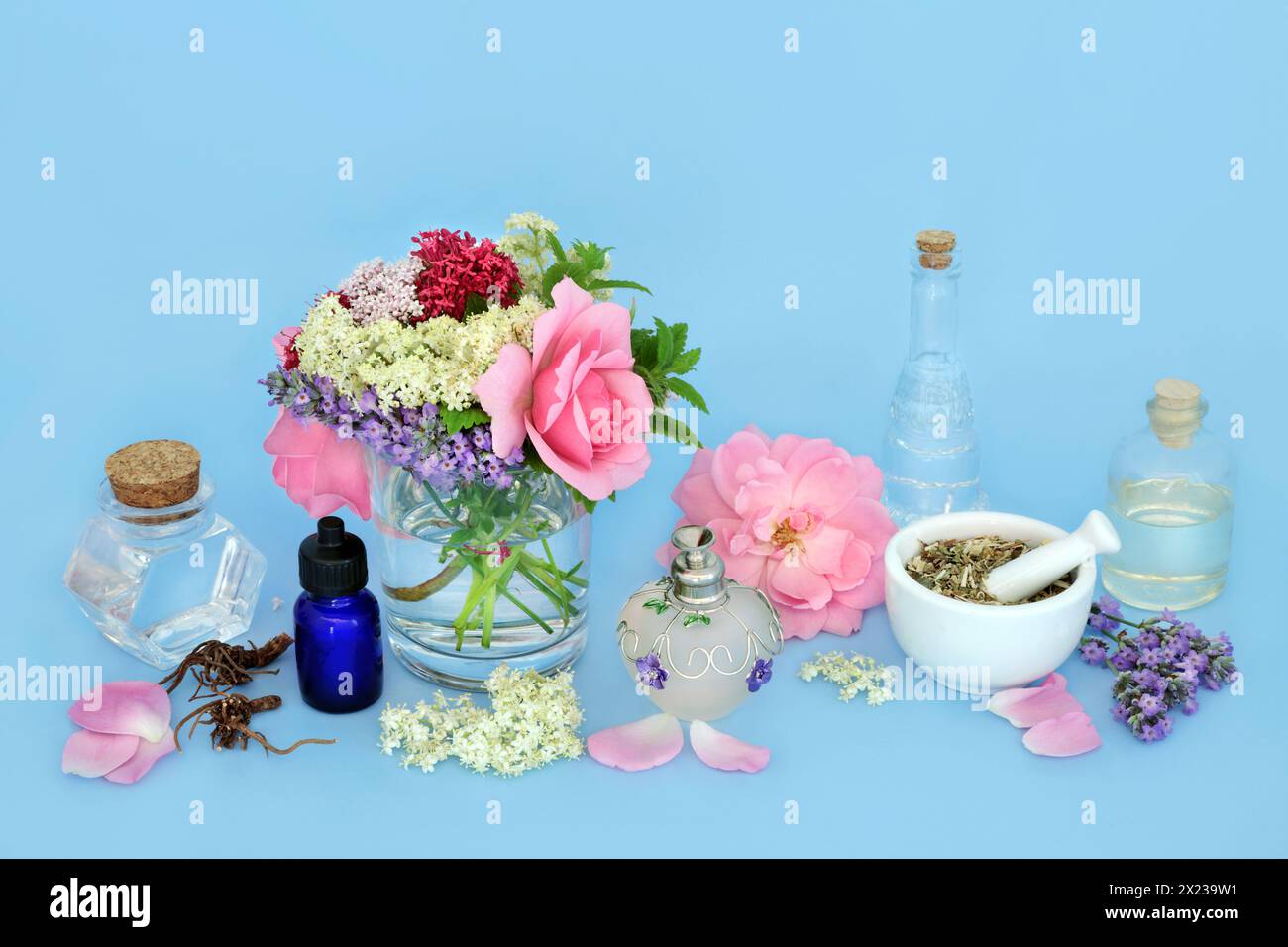 Homeopathic flowers and herbs used in natural herbal medicine ...