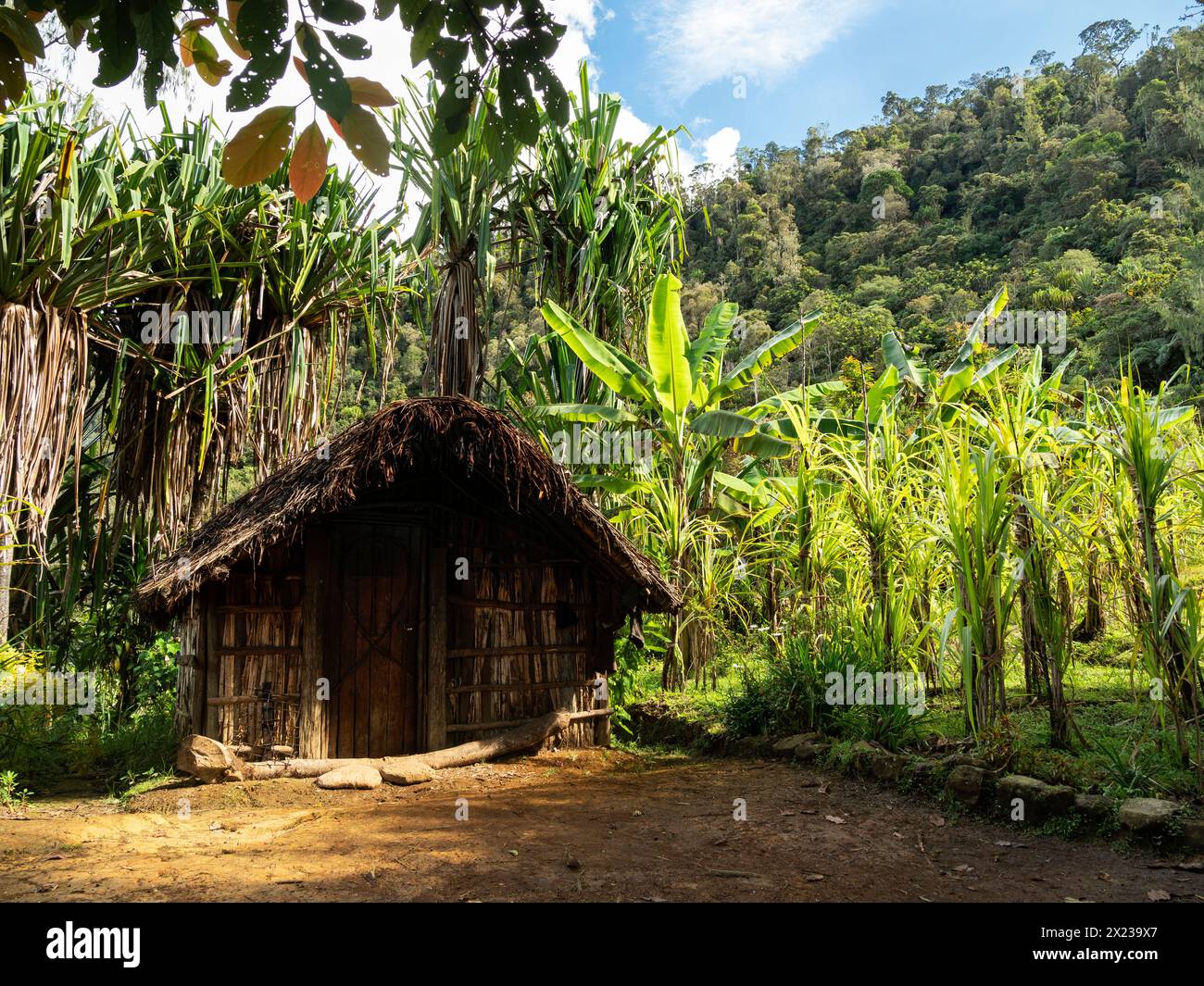 Garden with hut above the village of Bogo on the Koronige River ...