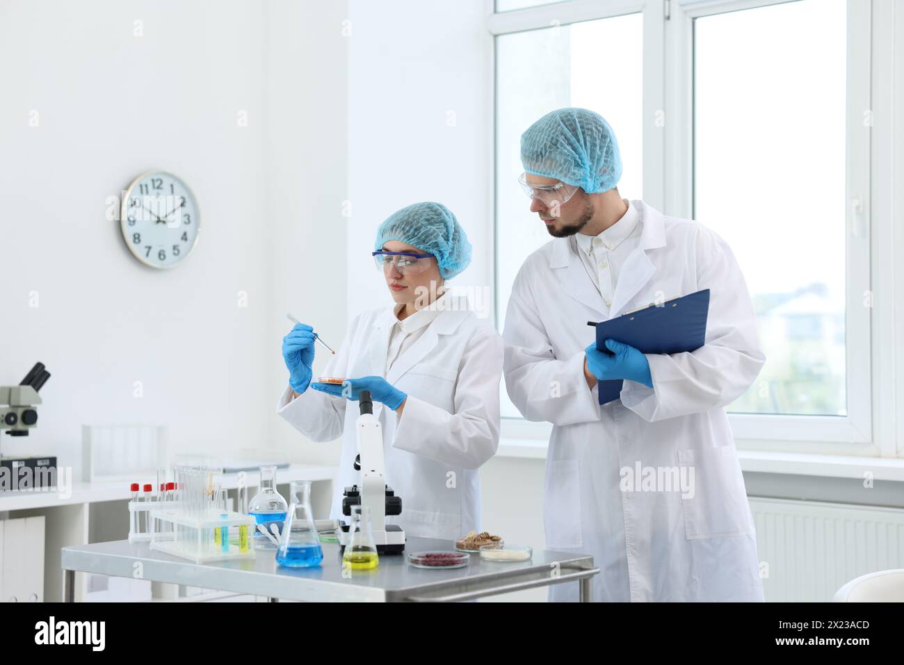 Quality control. Food inspectors checking safety of products in ...