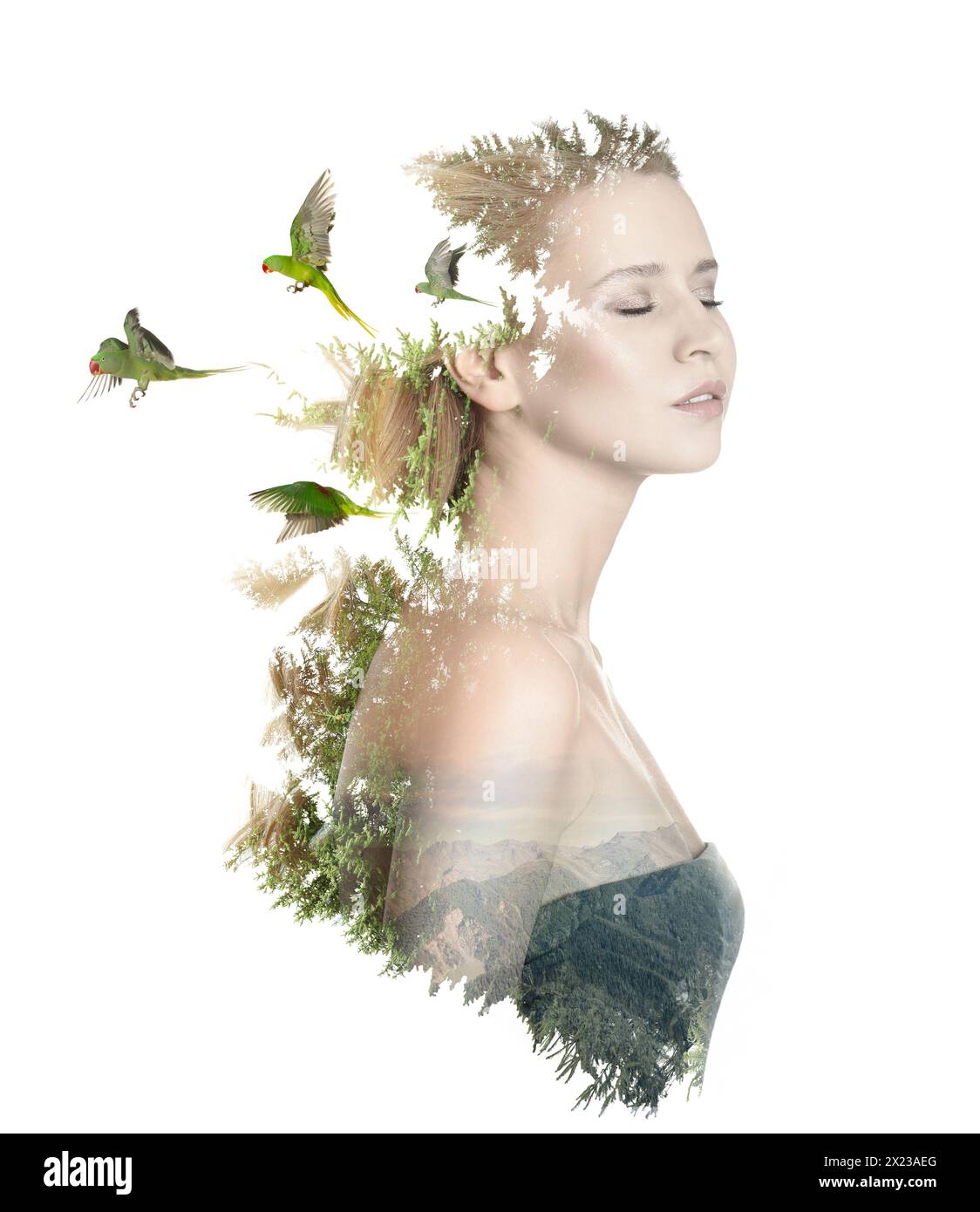 Double exposure effect beautiful woman hi-res stock photography and ...