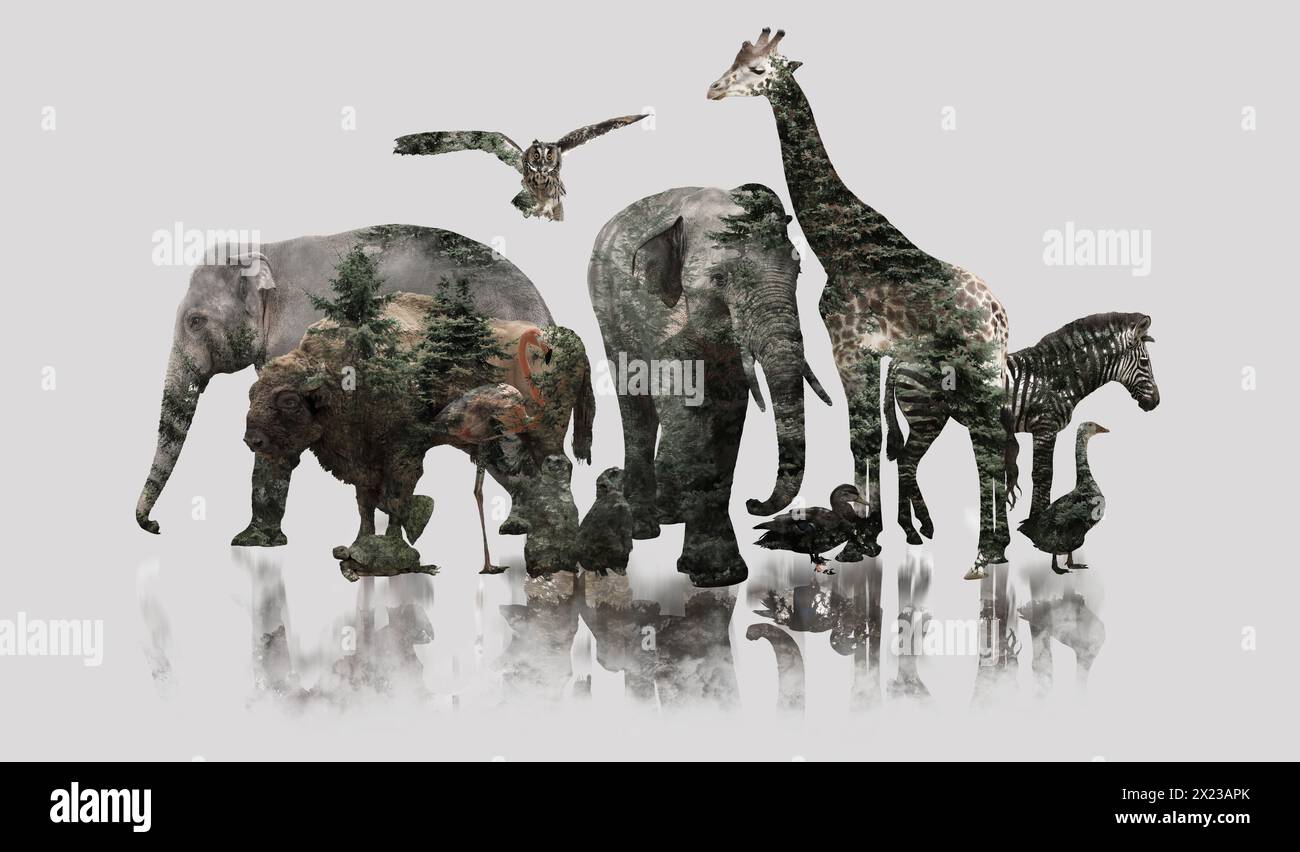 Double exposure of wild animals and forest, banner design Stock Photo ...