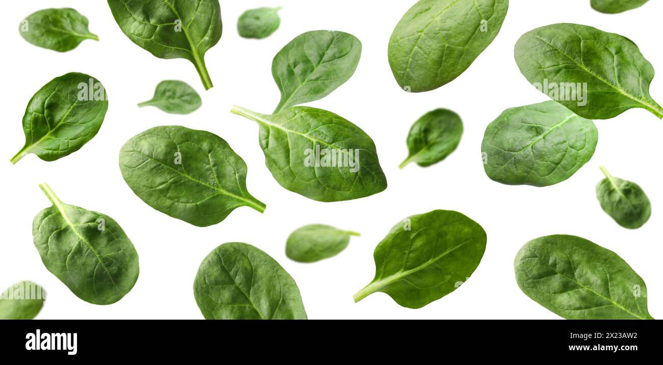 Fresh green spinach leaves falling on white background Stock Photo - Alamy