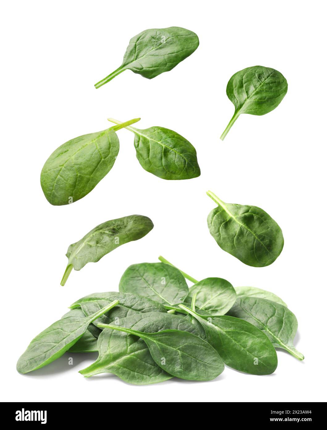 Fresh green spinach leaves falling onto heap on white background Stock ...