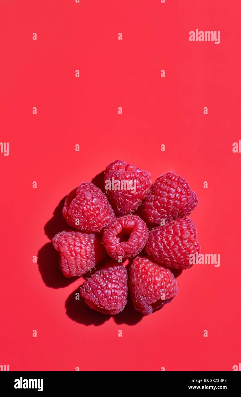 Raspberries on a red background in a flower design Stock Photo - Alamy