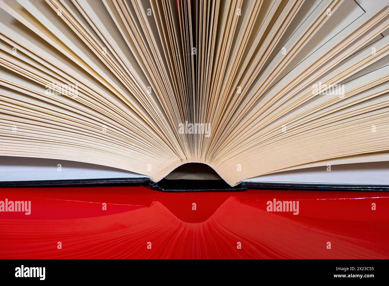 Open Book on red coloured background with partial reflection Stock ... Open Book on red coloured background with partial reflection Stock ...